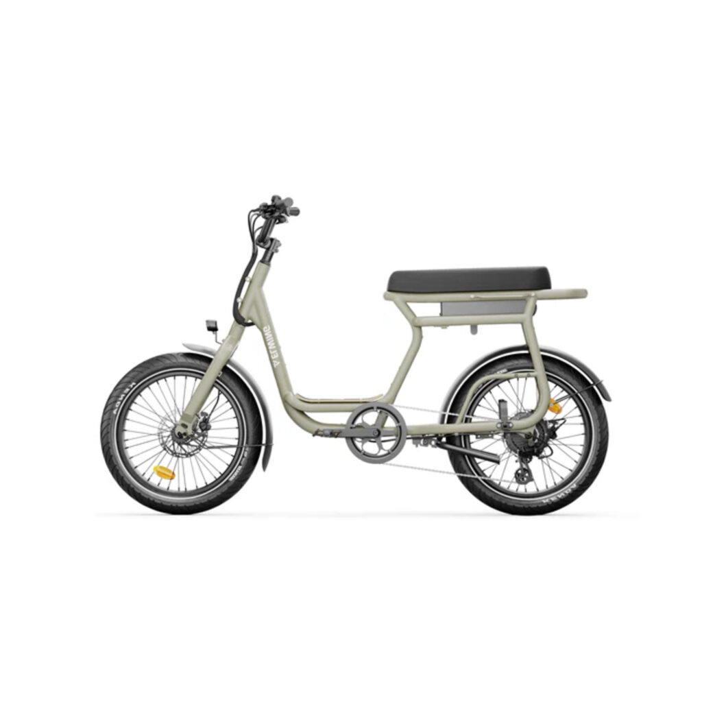 Vélo Électrique 2 Places | Vélo Électrique Shop