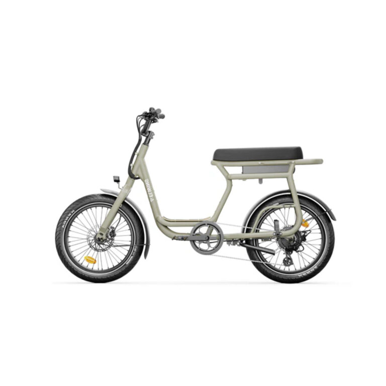 Vélo Électrique 2 Places | Vélo Électrique Shop