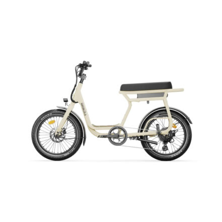 Vélo Électrique 2 Places | Vélo Électrique Shop