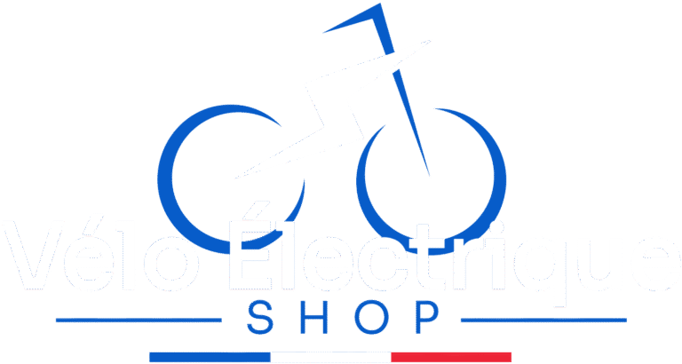 Vélo 4 Roues Adulte Électrique | Vélo Électrique Shop
