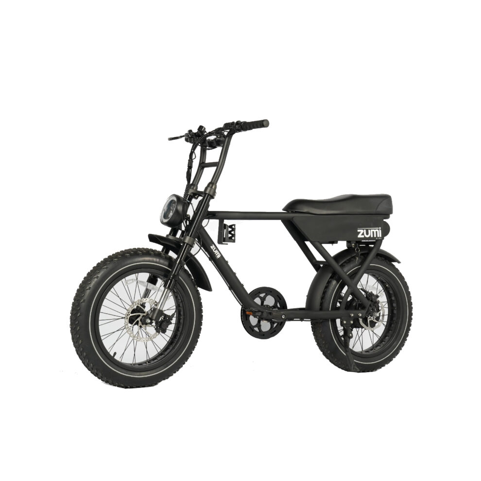Vélo Électrique 2 Places | Vélo Électrique Shop