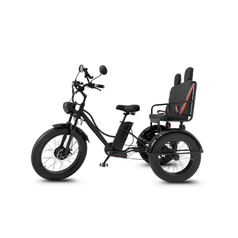 Vélo Électrique 2 Places | Vélo Électrique Shop